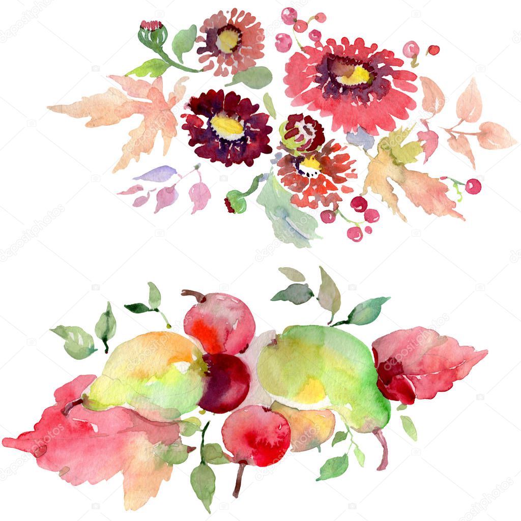 Ramos con flores y frutas. Conjunto de ilustración de fondo acuarela. Ramos aislados elemento de ...