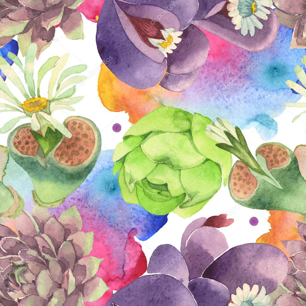Suculenta flor bot nica floral. Flor silvestre de hoja de primavera. Juego de ilustraci n en ...
