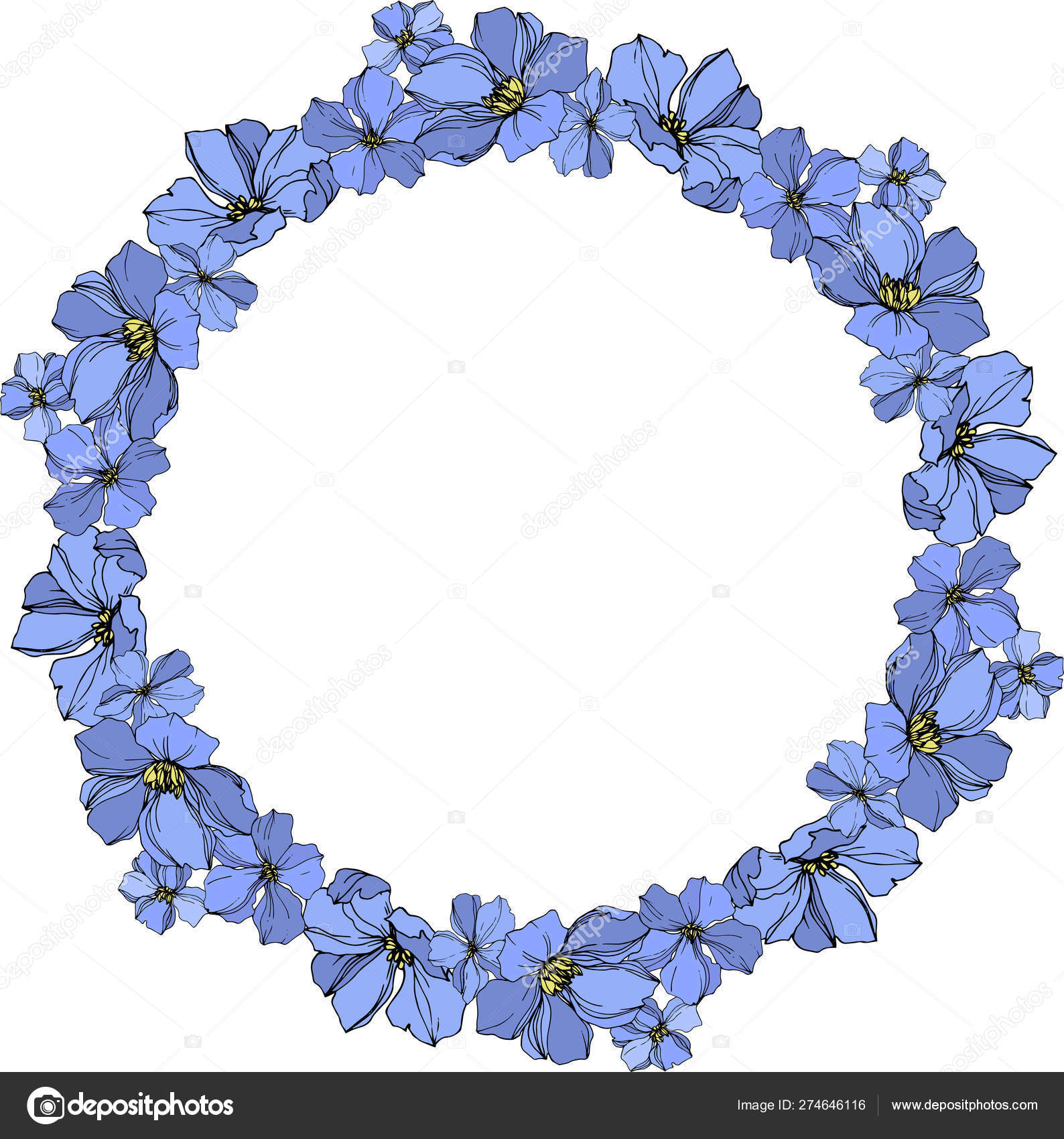 Vector Flax floral botanical flowers. Black and blue engraved ink art ...