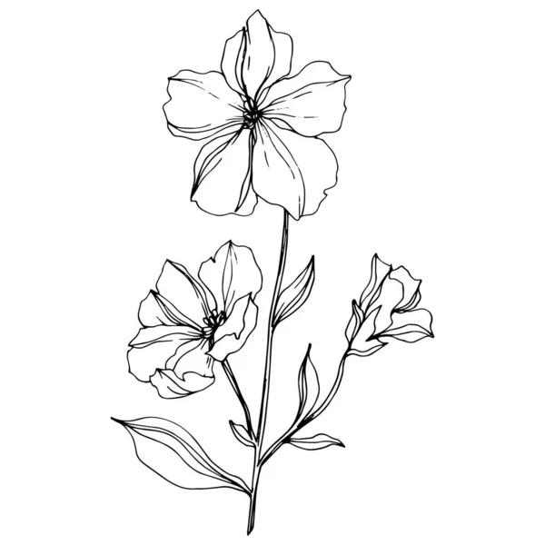 Flower Outline Drawing Vector | Best Flower Site