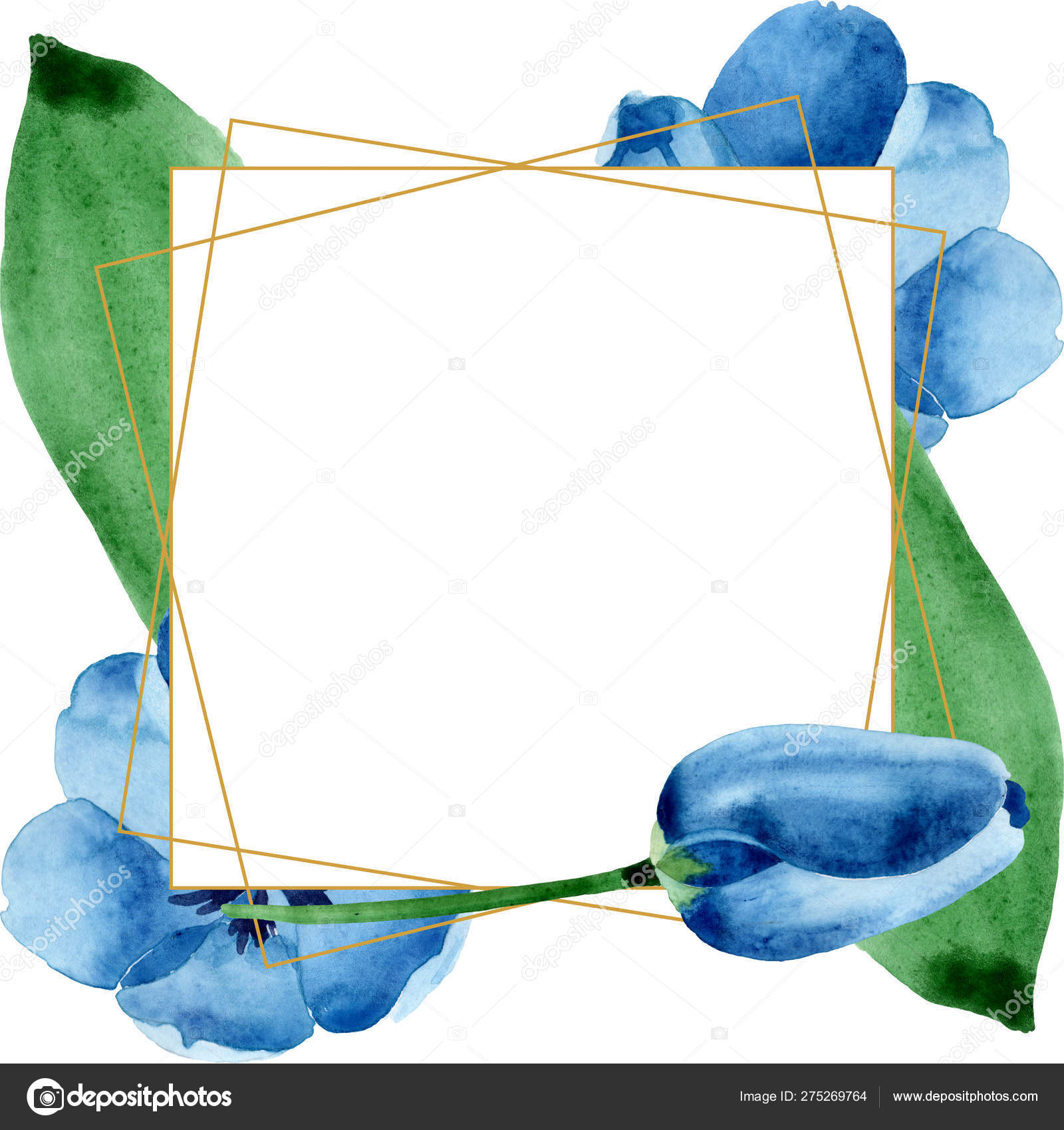 Blue tulip floral botanical flowers. Watercolor background illustration ...