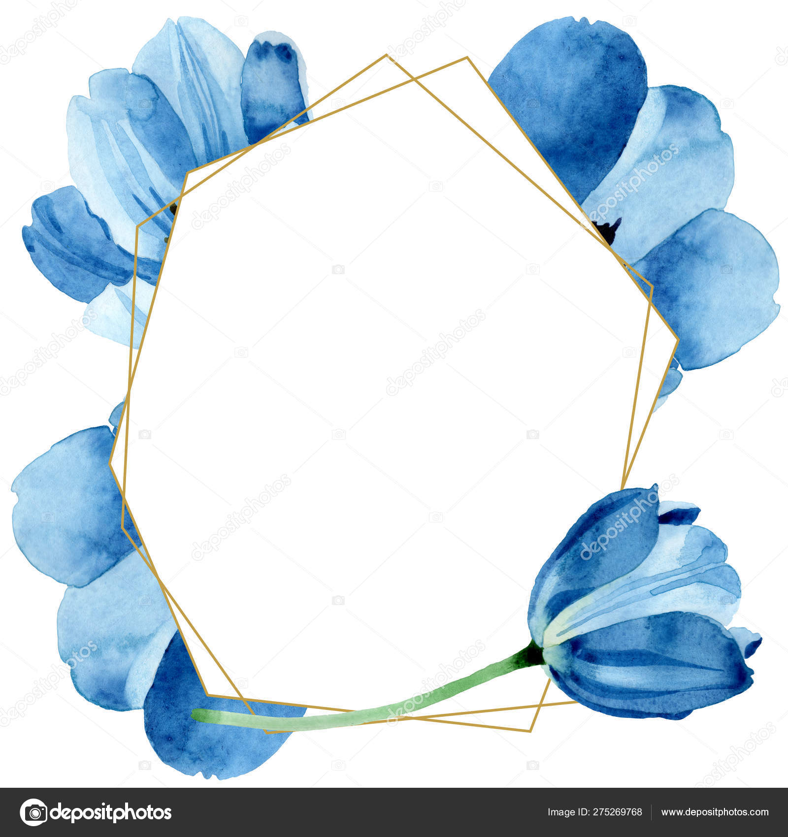 Blue tulip floral botanical flowers. Watercolor background illustration ...