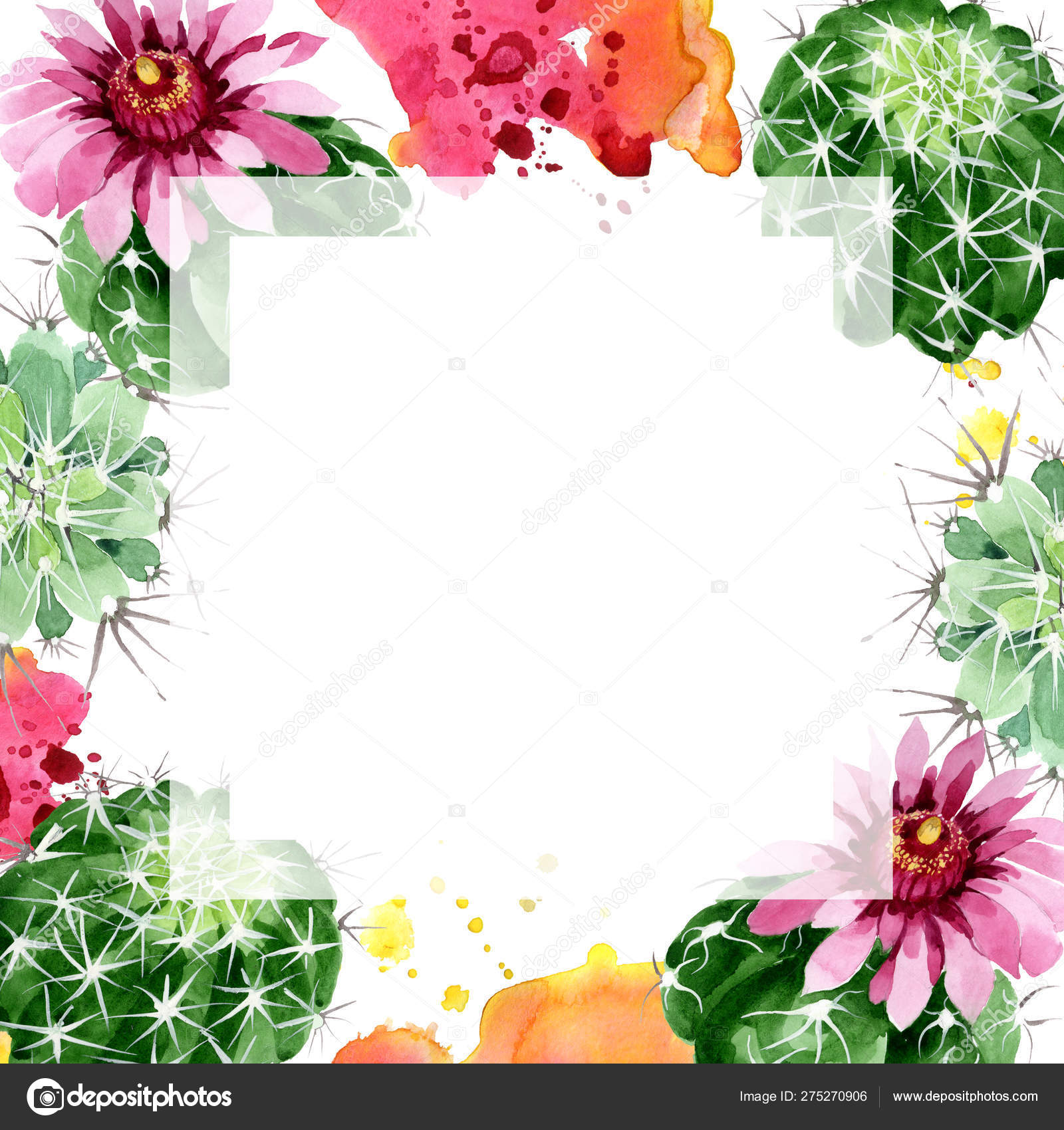 Cactus Flower Border