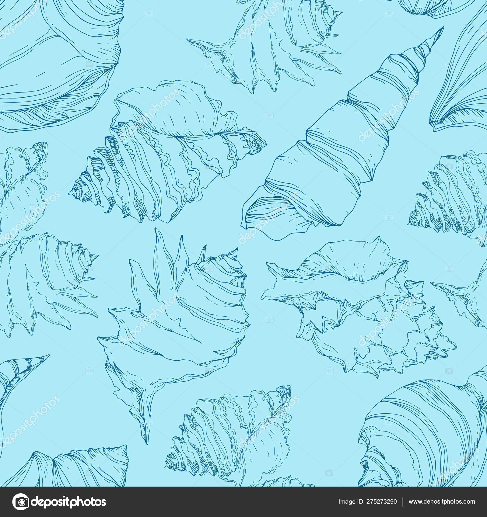 Summer beach seashell tropical elements. Black and white engraved ink ...