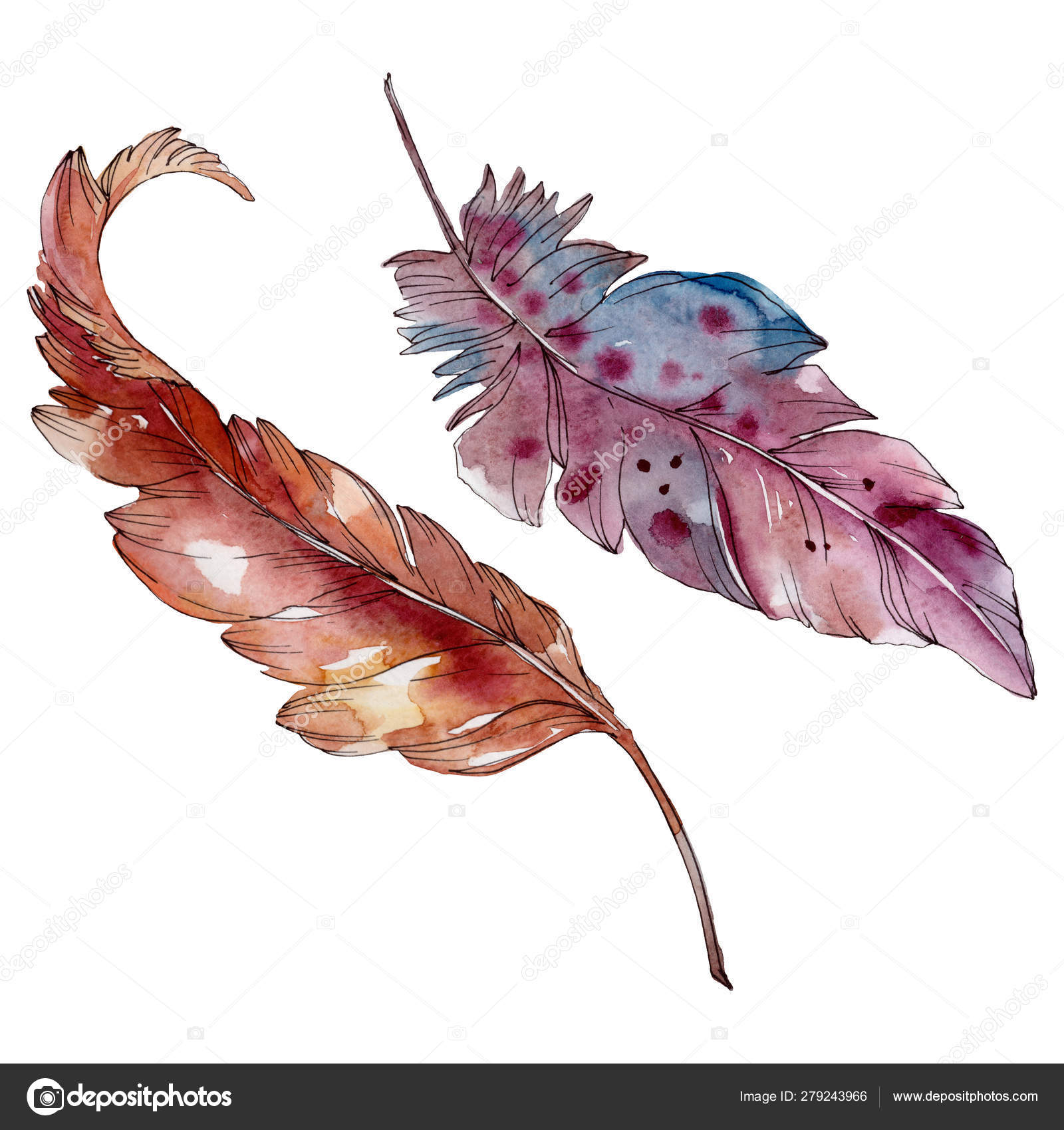 Colorful bird feather from wing isolated. Watercolor background set ...