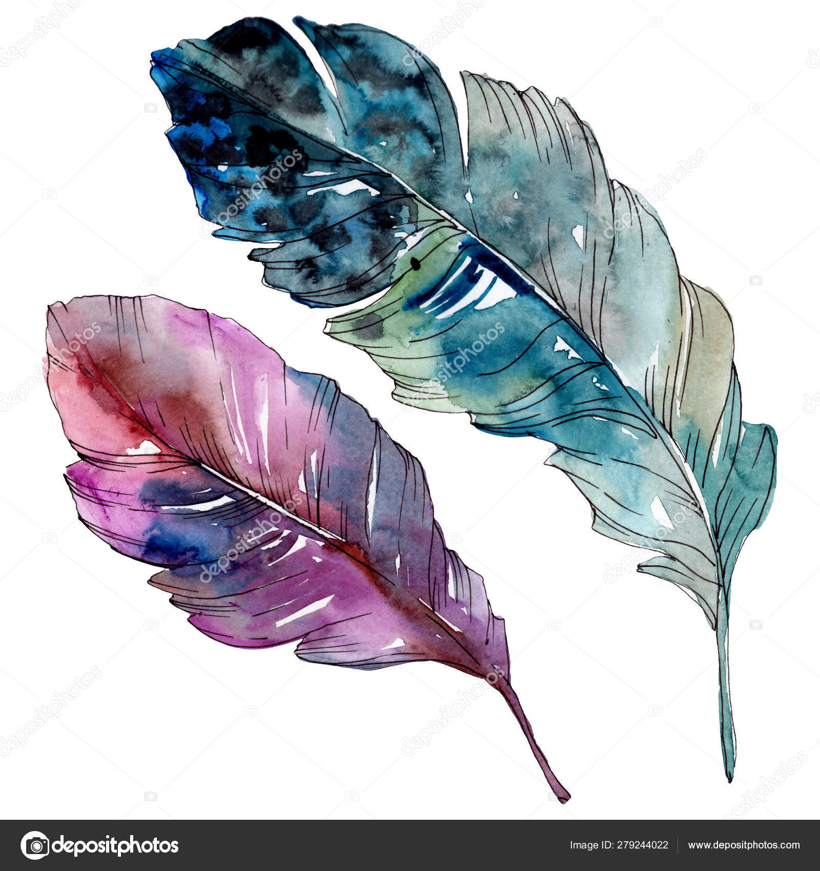Colorful bird feather from wing isolated. Watercolor background ...