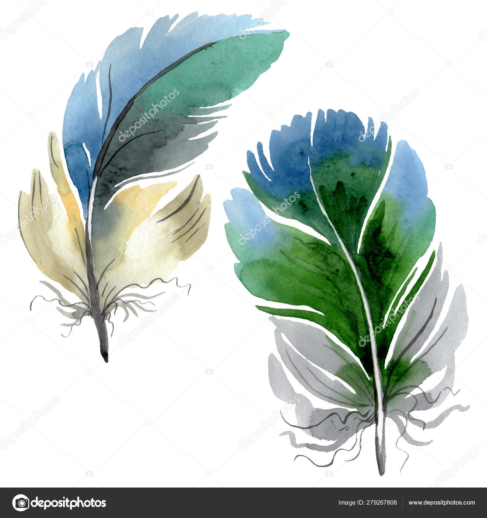 Colorful bird feather from wing isolated. Watercolor background ...