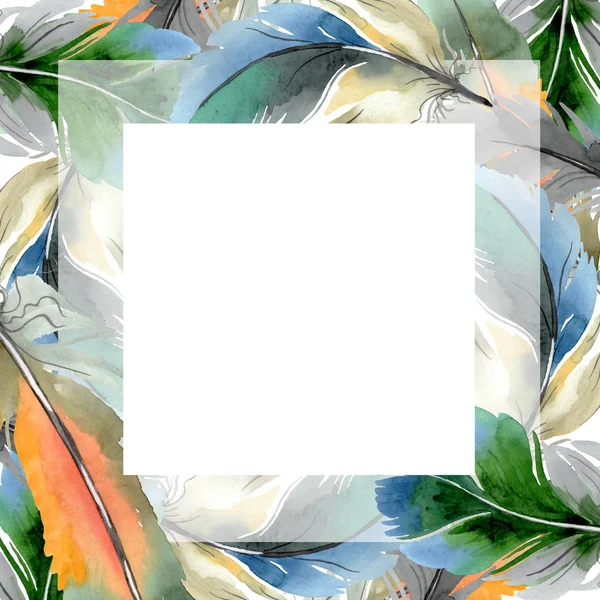 Colorful bird feather from wing isolated. Watercolor background ...