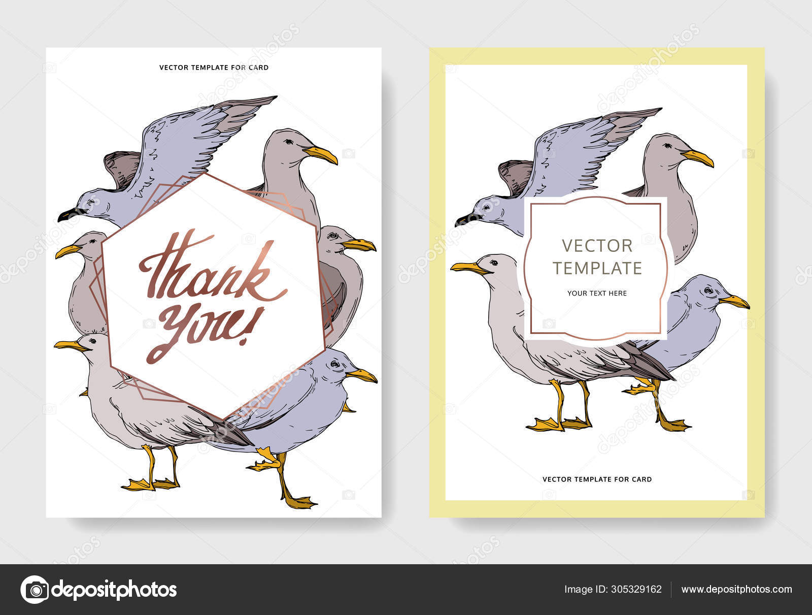 Vector Sky bird seagull in a wildlife. Black and white engraved ink art ...