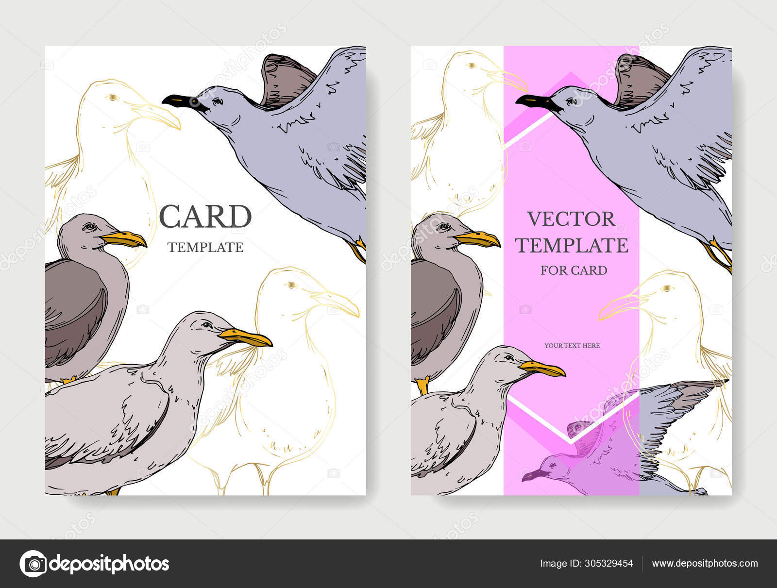 Vector Sky bird seagull in a wildlife. Black and white engraved ink art ...