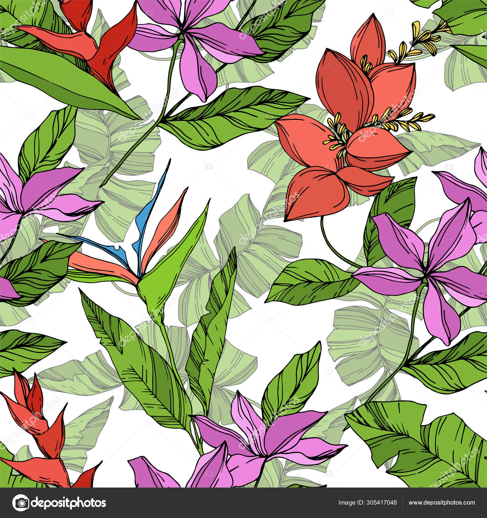 Vector Palm beach tree leaves jungle botanical plant. Black and white ...