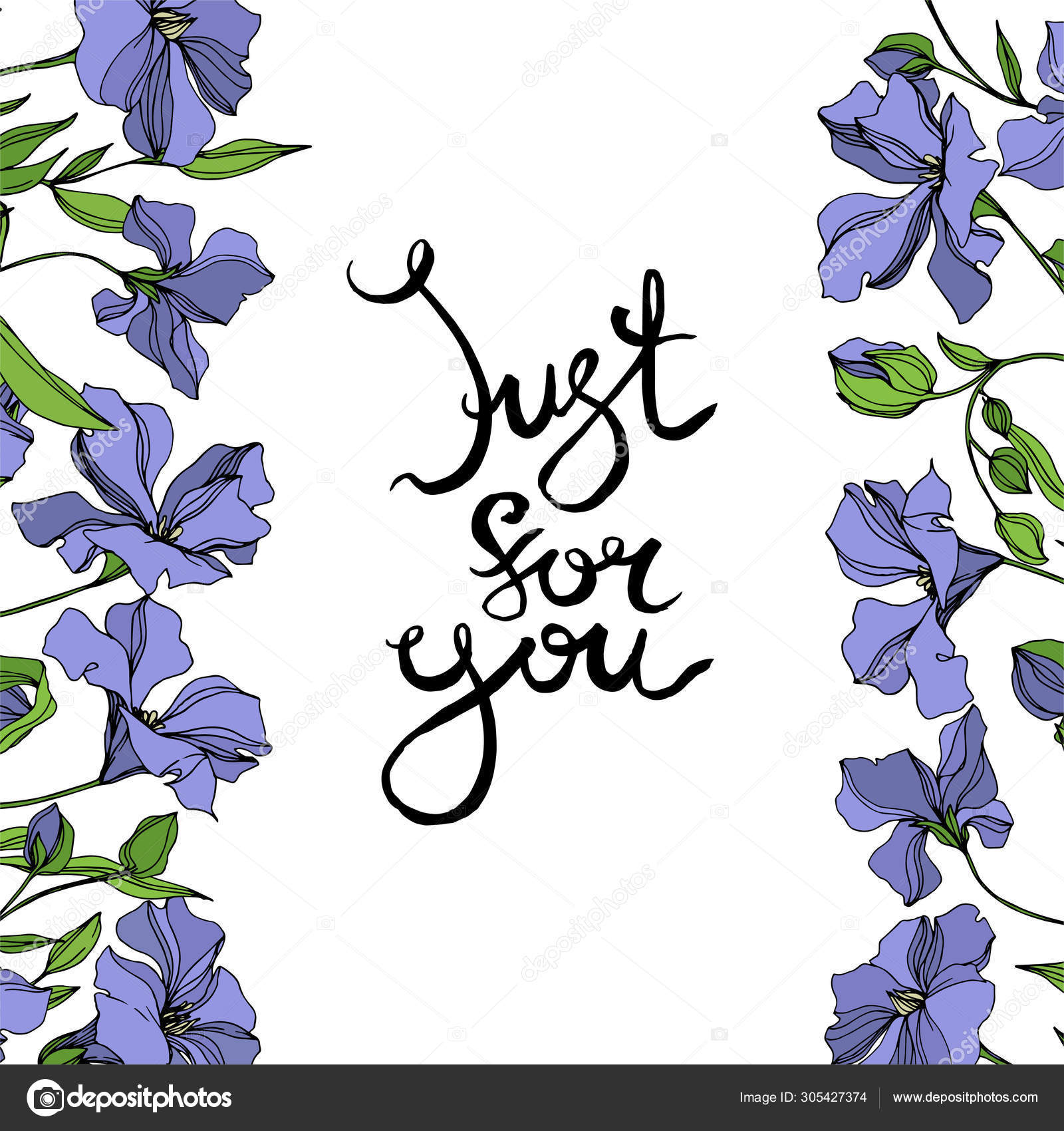 Vector Flax floral botanical flowers. Black and white engraved ink art ...