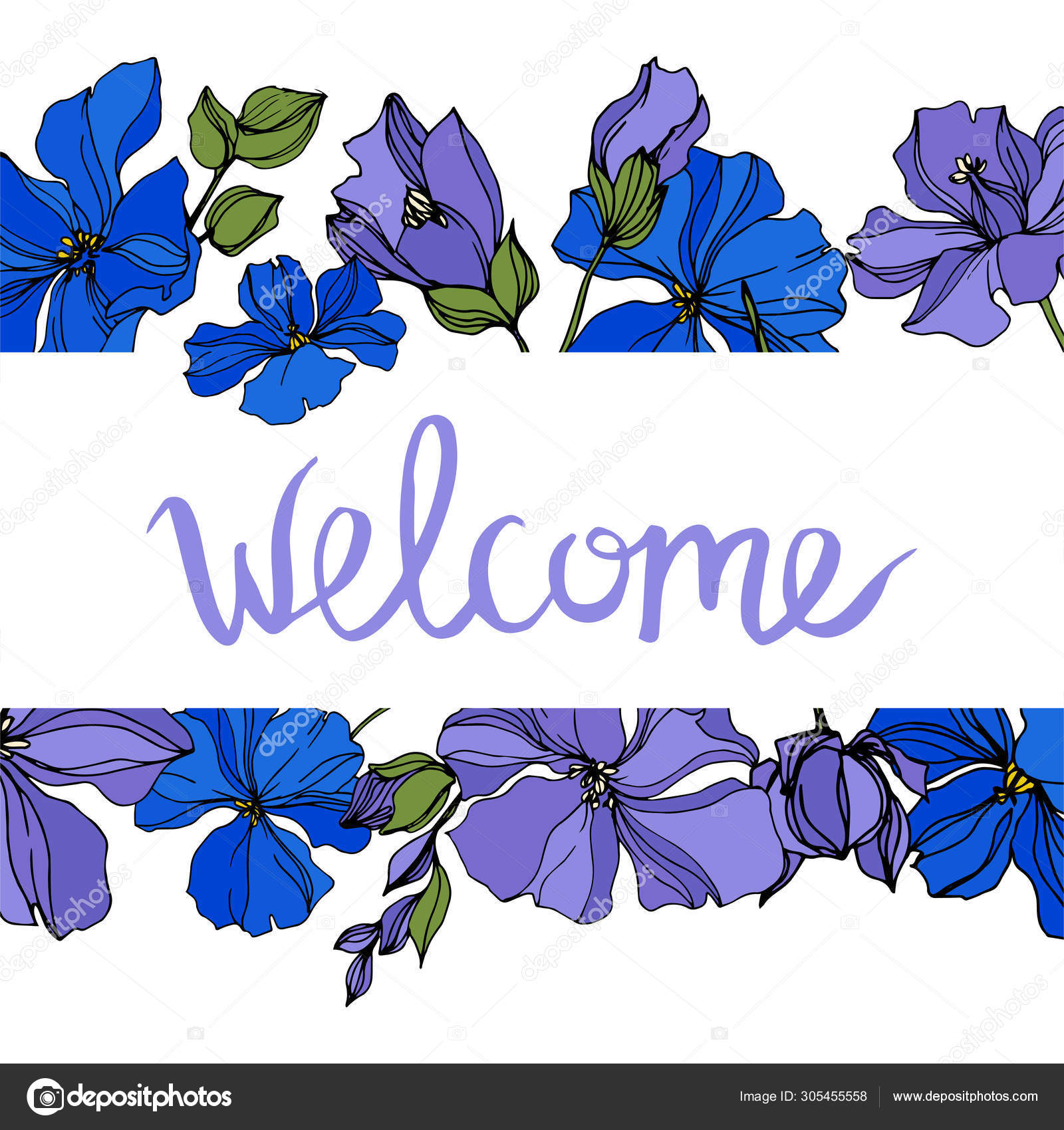 Vector Flax floral botanical flowers. Black and white engraved ink art ...