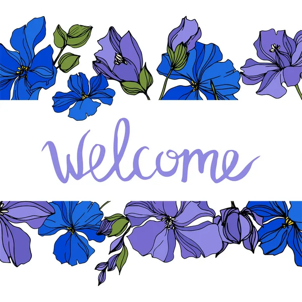 ᐈ Flax stock illustrations, Royalty Free flax botanical vectors ...