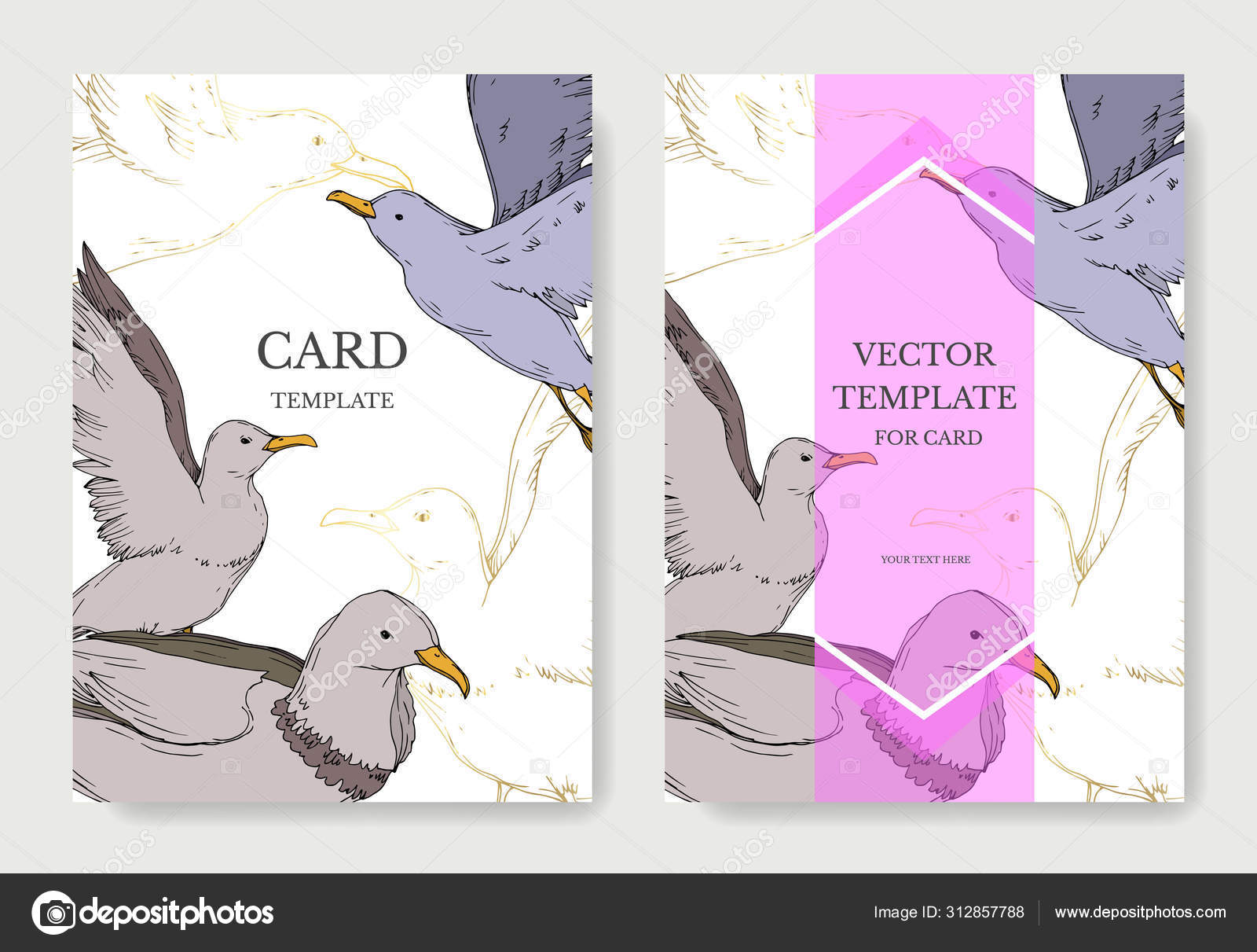 Vector Sky bird seagull isolated. Black and white engraved ink art ...