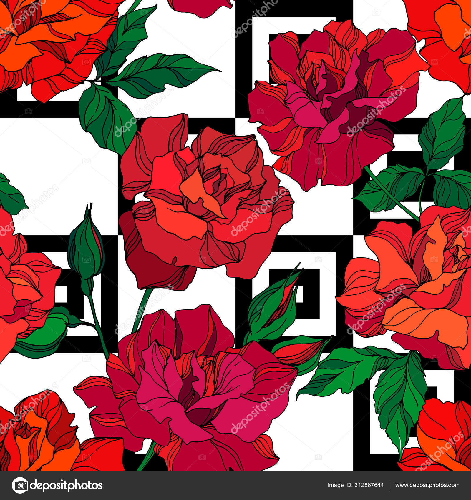 Vector Rose floral botanical flowers. Green and red engraved ink art ...