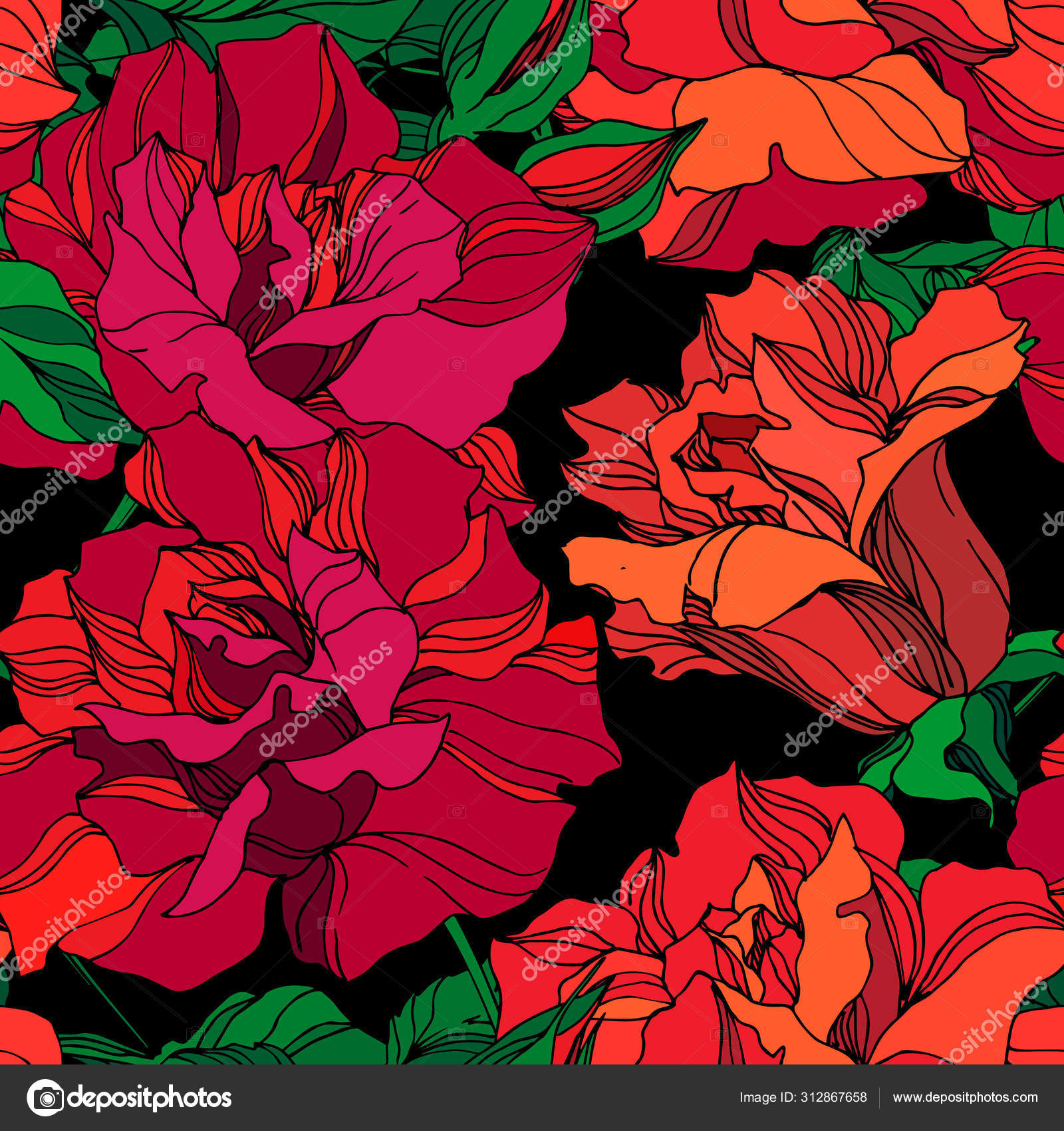 Vector Rose floral botanical flowers. Green and red engraved ink art ...