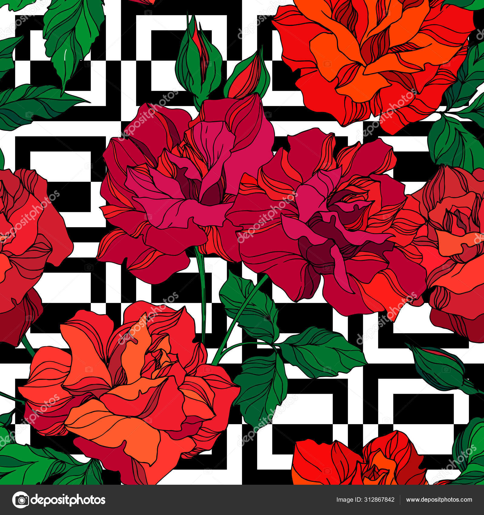 Vector Rose floral botanical flowers. Green and red engraved ink art ...