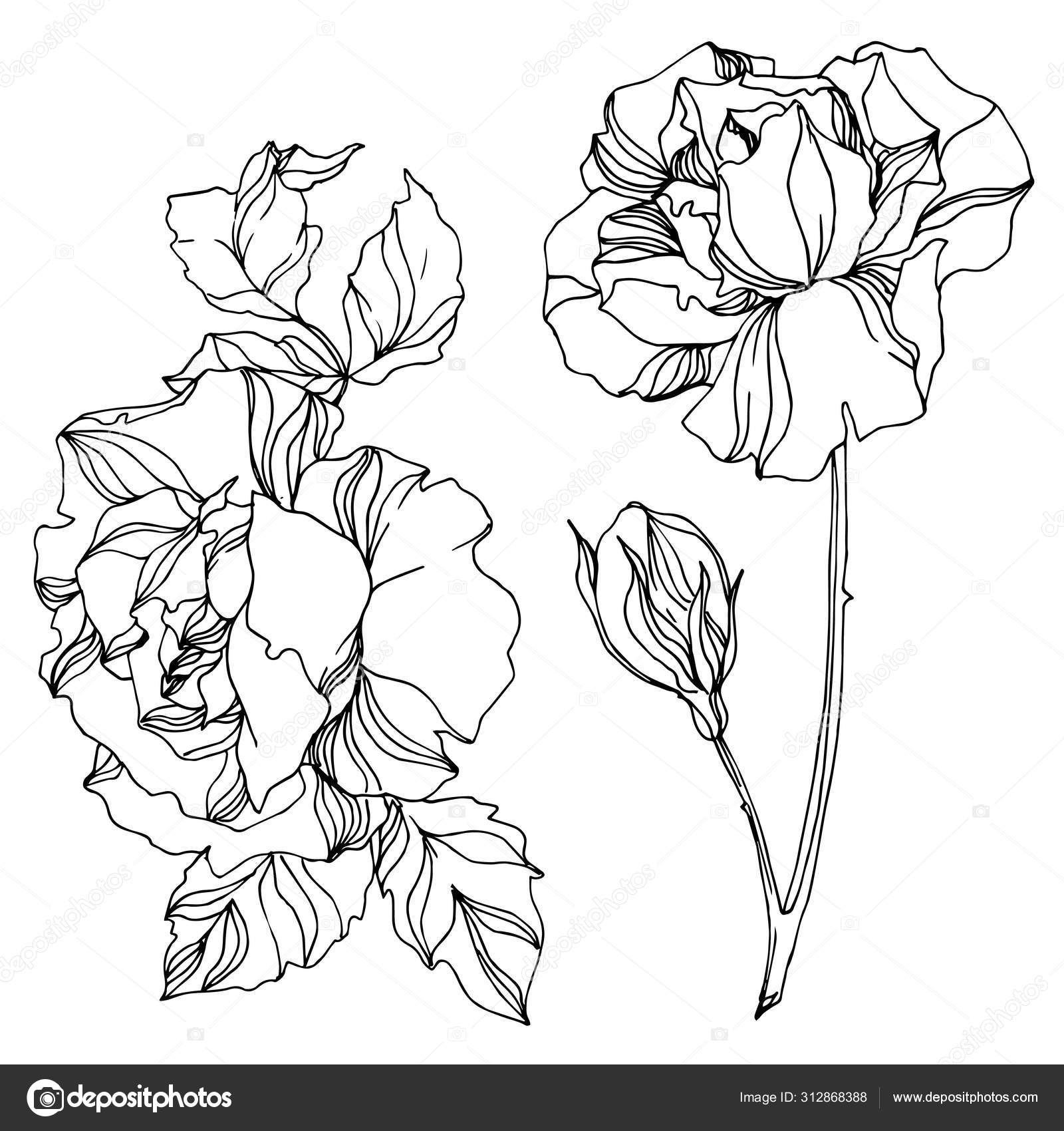 Black Ink Art Flowers
