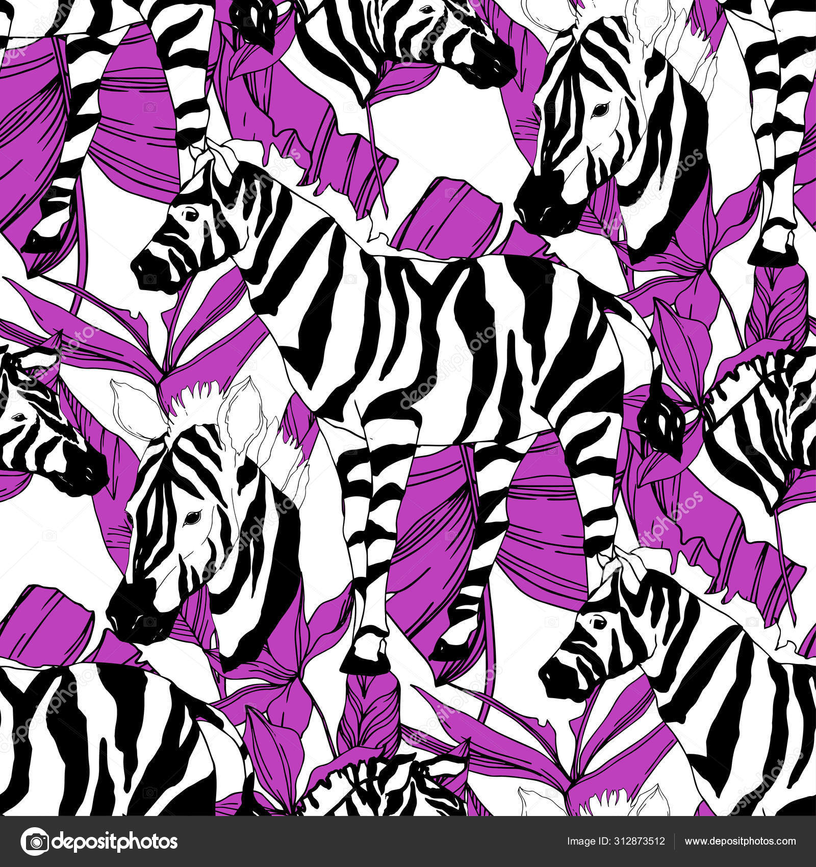 Vector Exotic zebra print wild animal isolated. Black and white ...