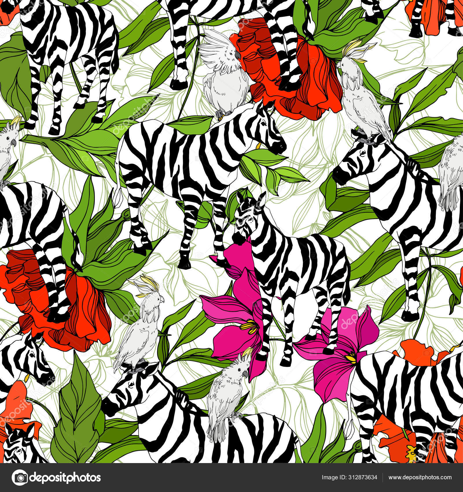 Vector Exotic zebra print wild animal isolated. Black and white ...