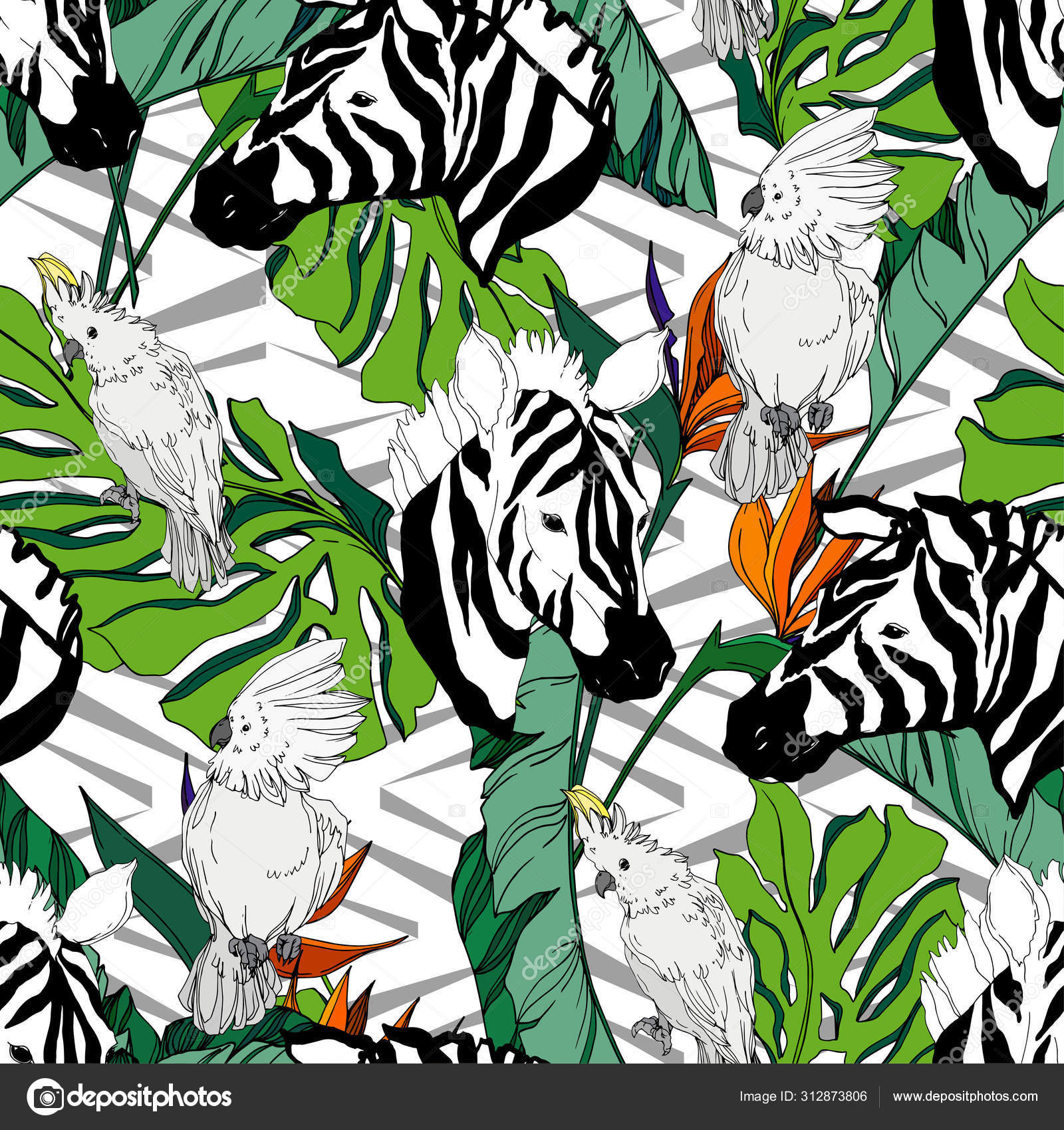 Vector Exotic zebra print wild animal isolated. Black and white ...