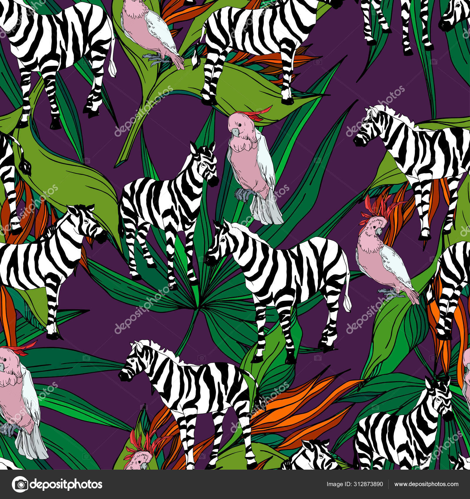 Vector Exotic zebra print wild animal isolated. Black and white ...