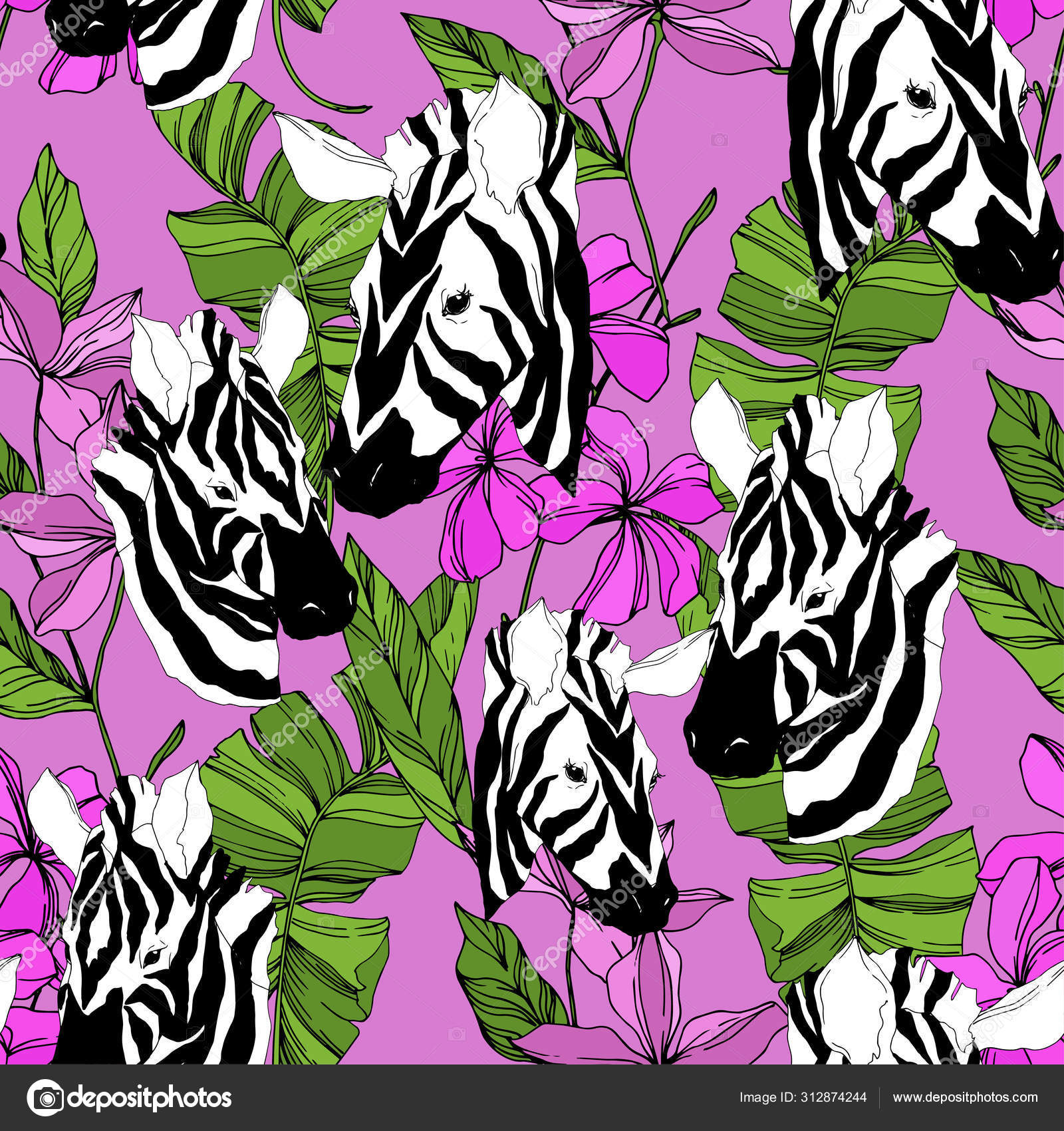 Vector Exotic zebra print wild animal isolated. Black and white ...