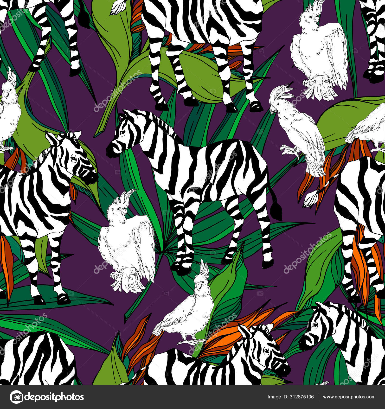 Vector Exotic zebra print wild animal isolated. Black and white ...