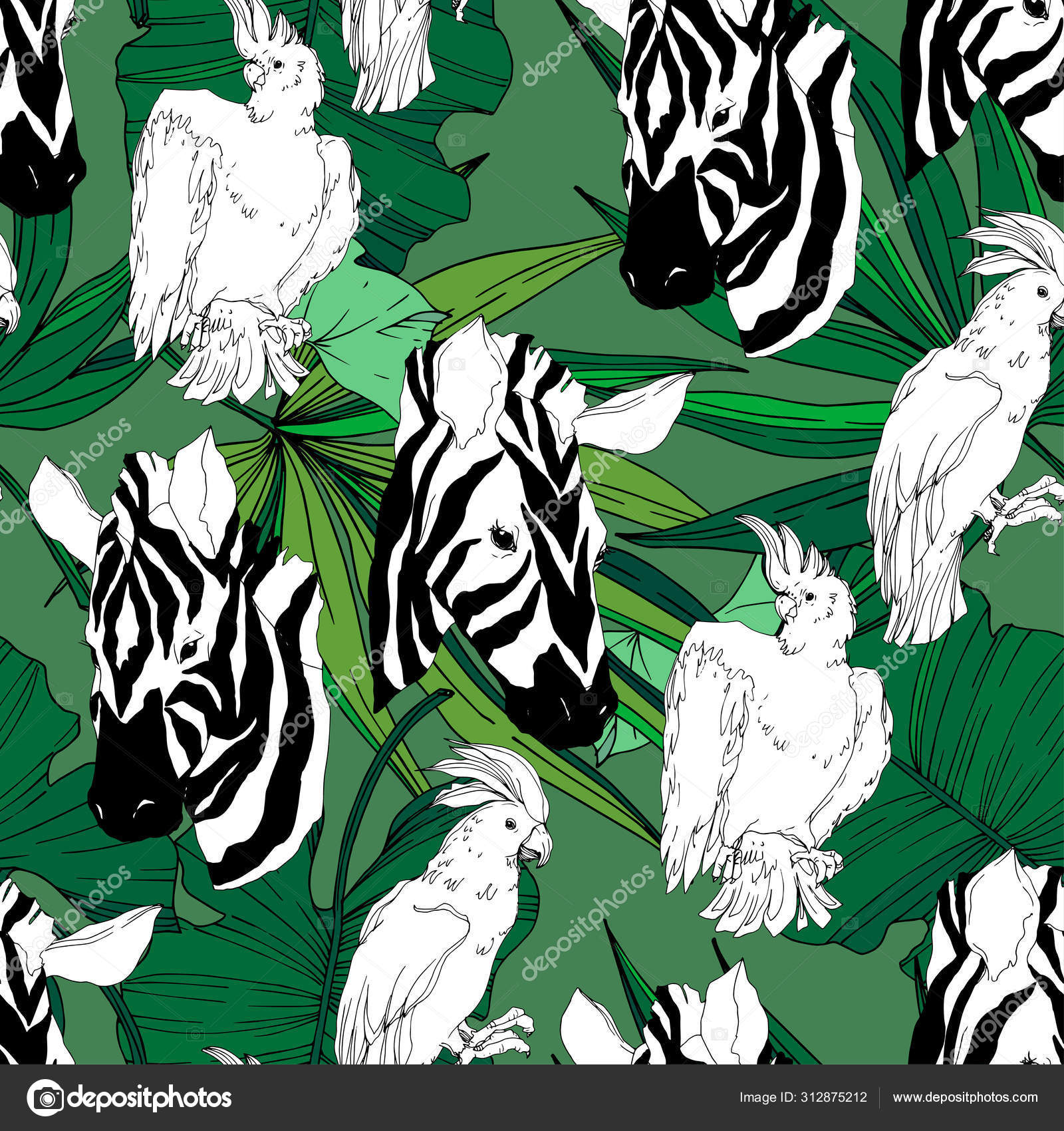 Vector Exotic zebra print wild animal isolated. Black and white ...