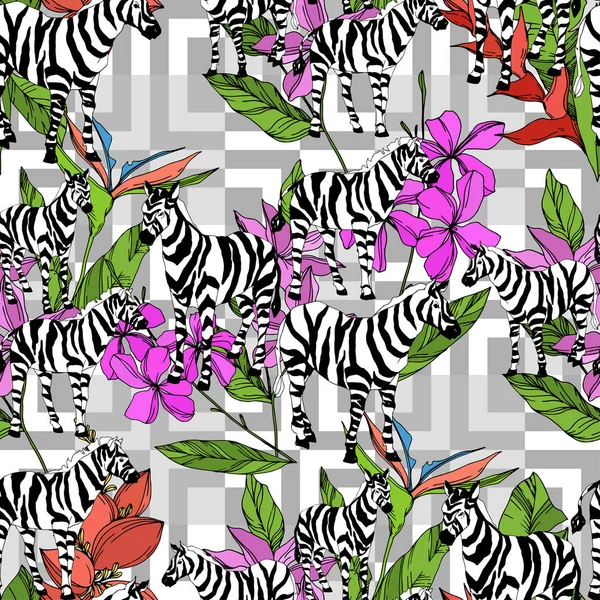 Vector Exotic zebra print wild animal isolated. Black and white ...