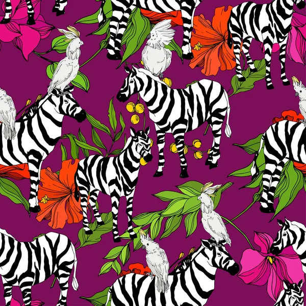 Vector Exotic zebra print wild animal isolated. Black and white ...