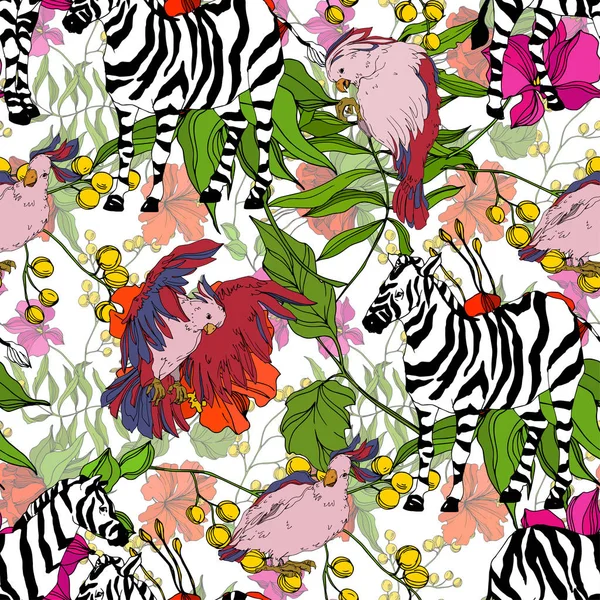 Vector Exotic zebra print wild animal isolated. Black and white ...