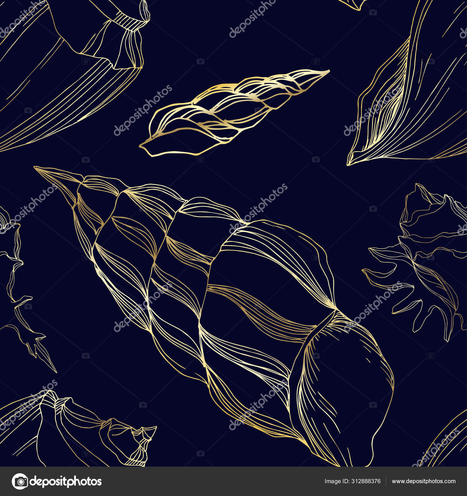 Vector Summer beach seashell tropical elements. Brown beige Engr ...