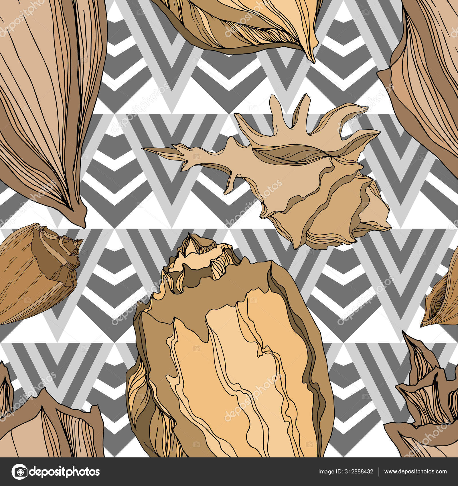 Vector Summer beach seashell tropical elements. Brown beige Engr ...