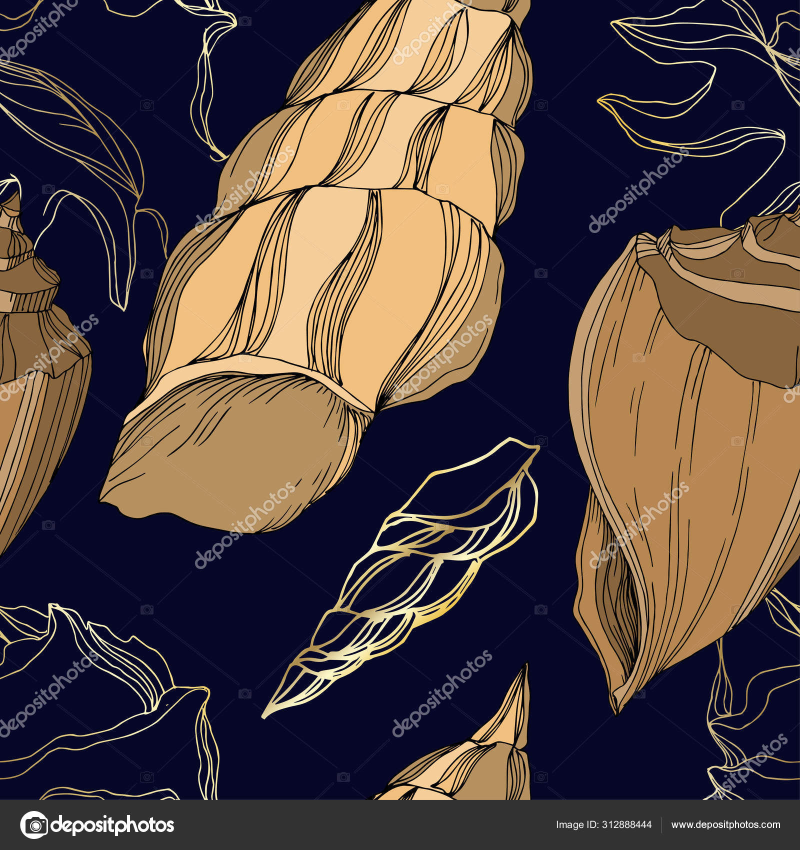 Vector Summer beach seashell tropical elements. Brown beige Engr ...