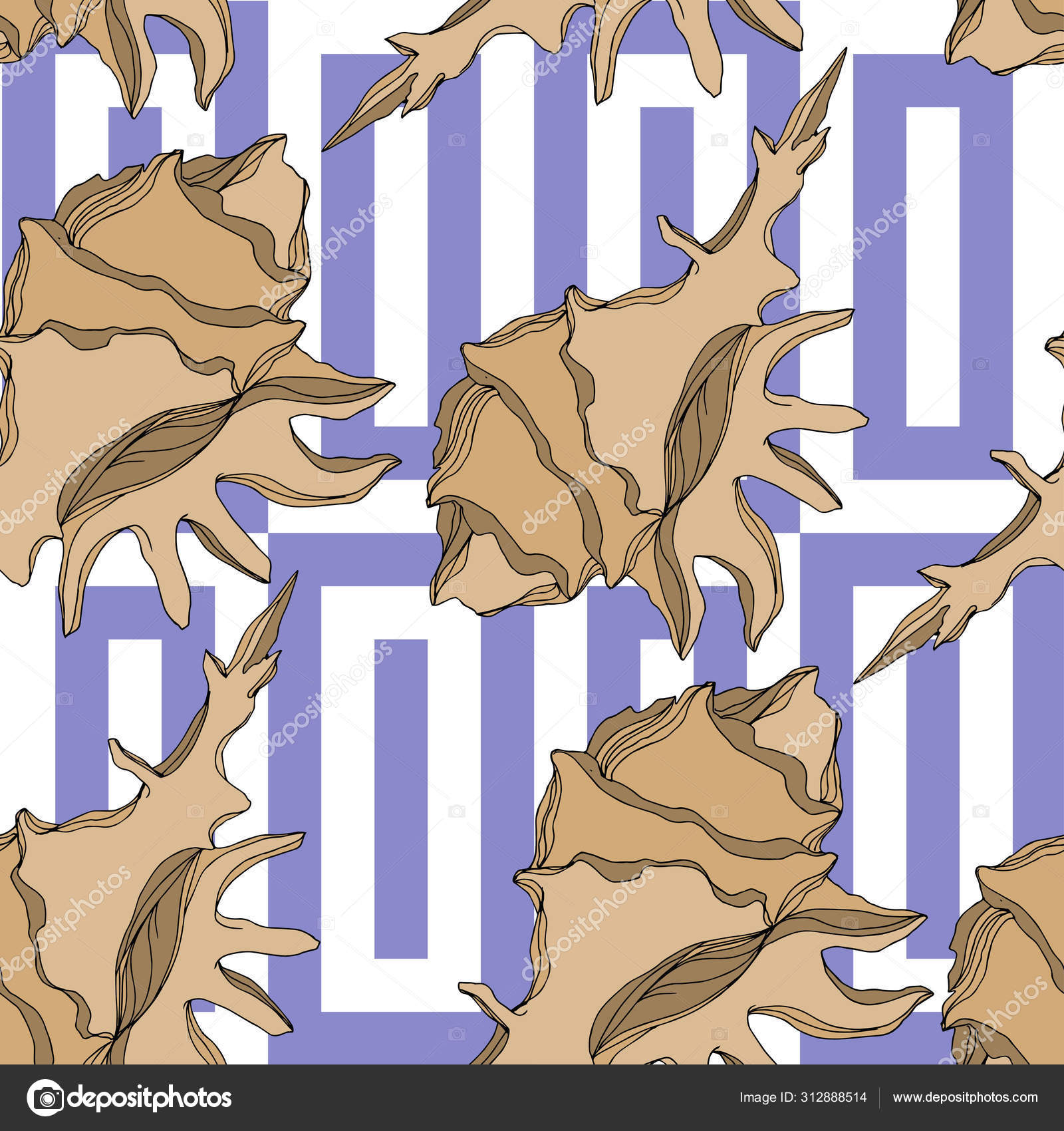 Vector Summer beach seashell tropical elements. Brown beige Engr ...