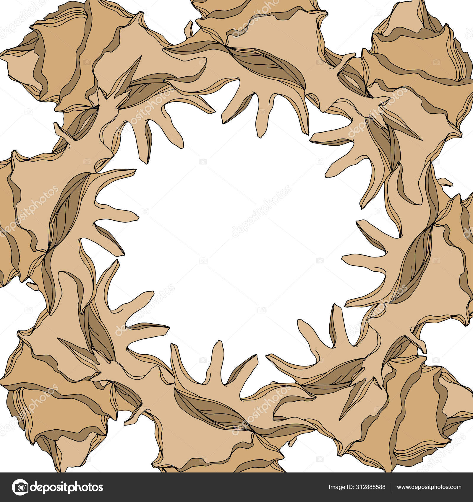 Vector Summer beach seashell tropical elements. Brown beige engr ...