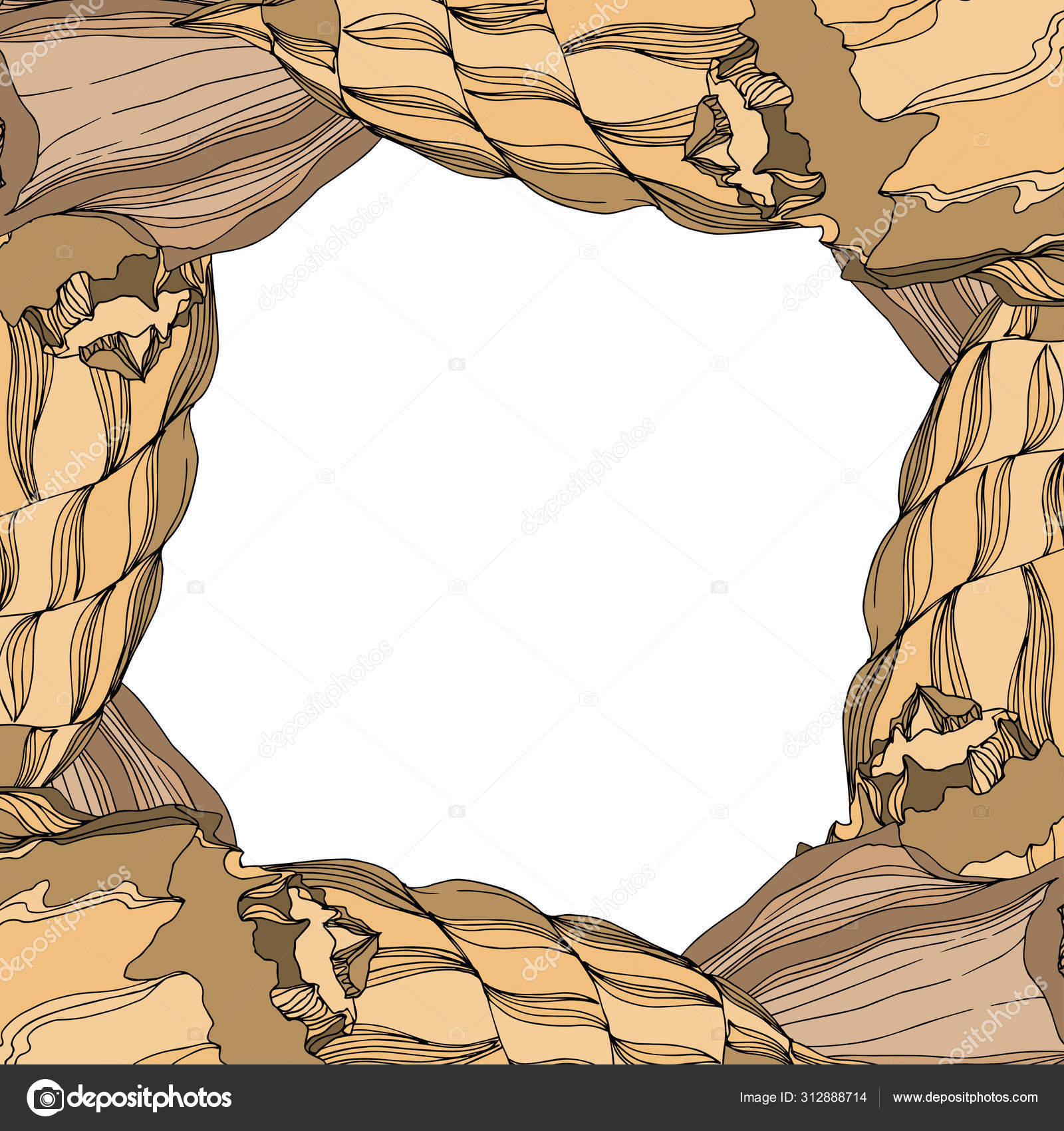 Vector Summer beach seashell tropical elements. Brown beige engr ...