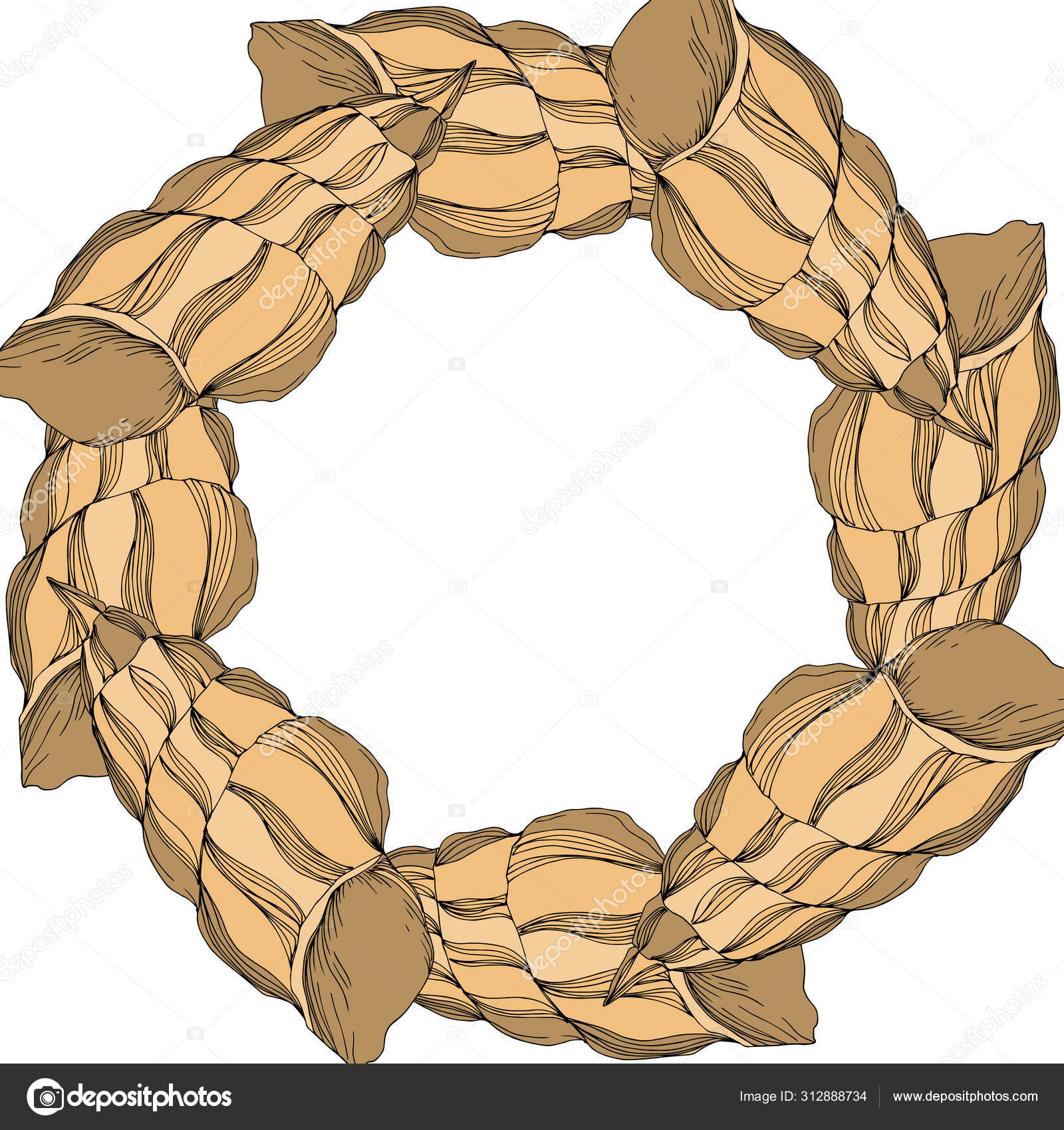 Vector Summer beach seashell tropical elements. Brown beige engr ⬇ ...