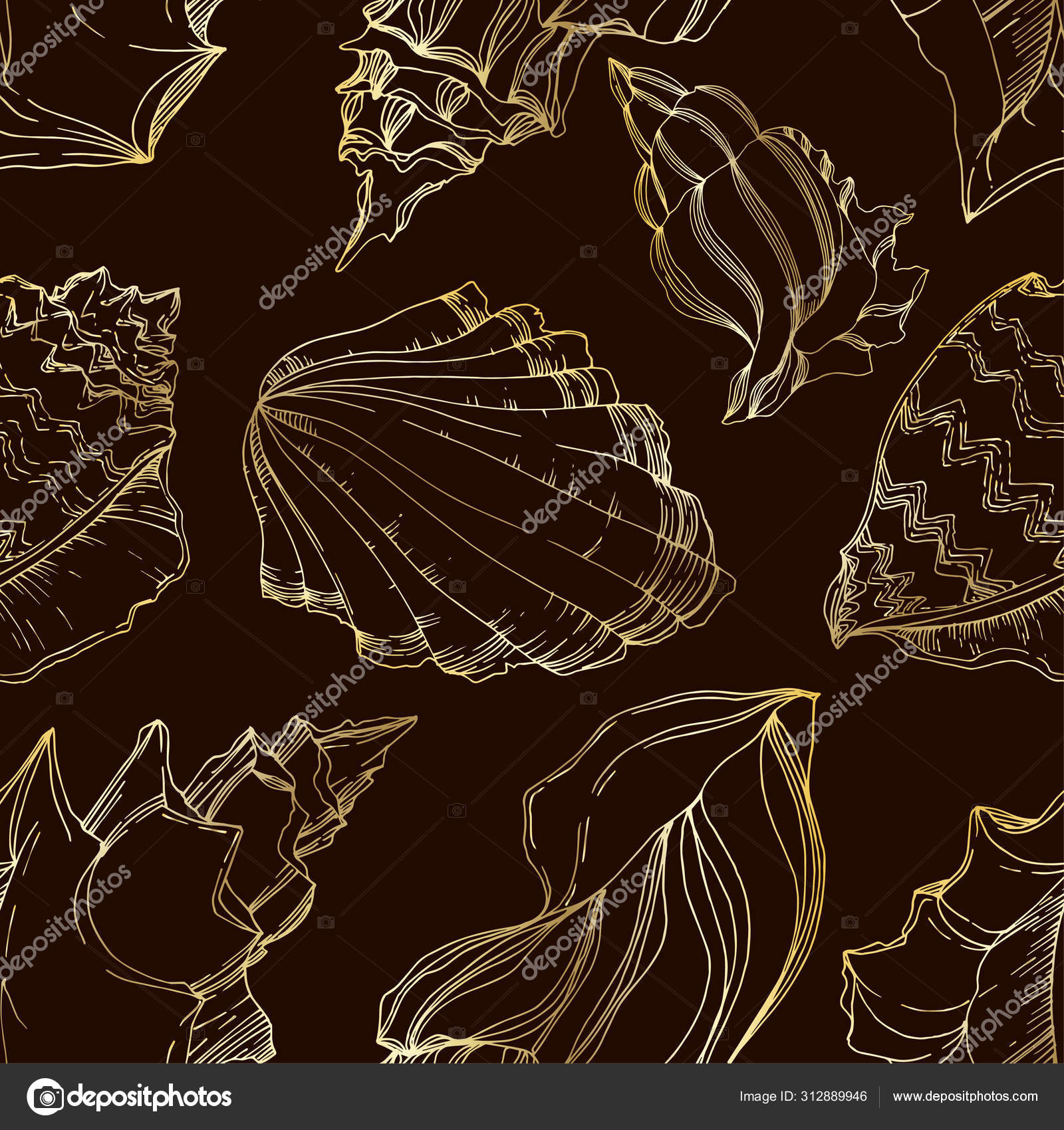 Vector Summer beach seashell tropical elements. Black and white — Stock ...