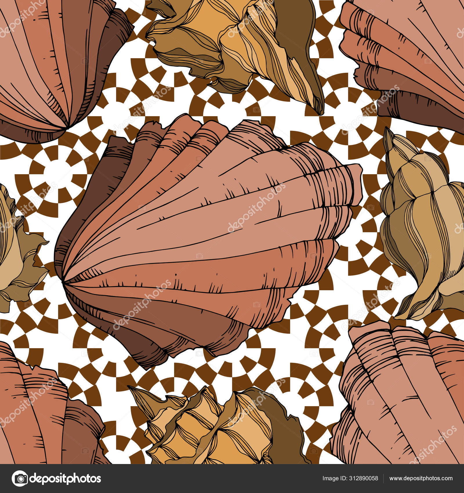 Vector Summer beach seashell tropical elements. Black and white — Stock ...