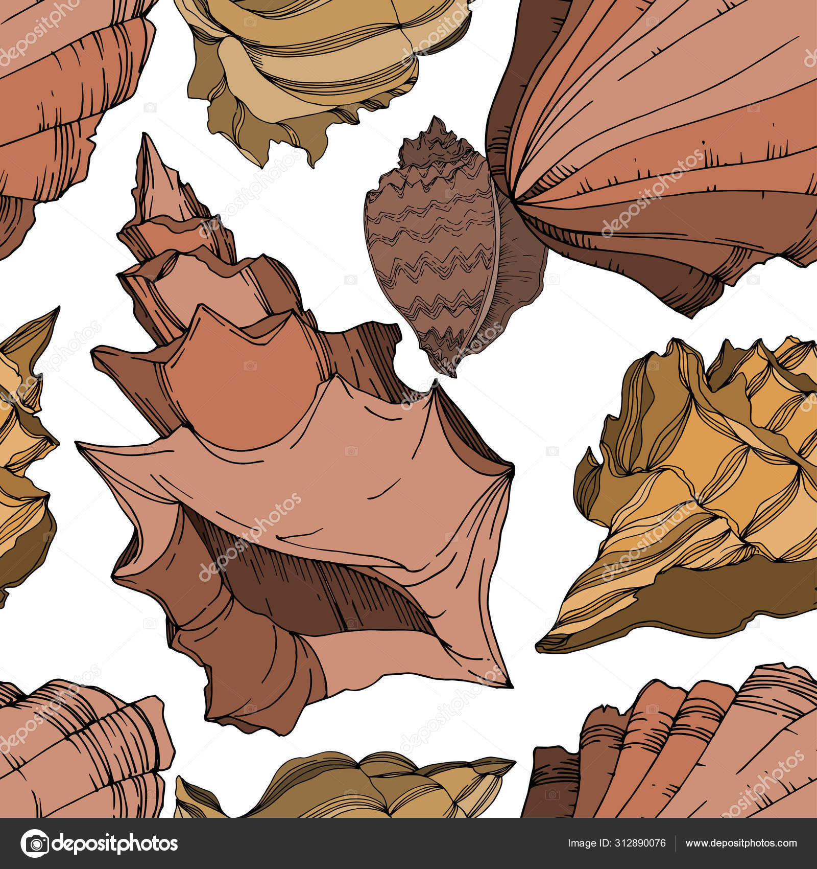 Vector Summer beach seashell tropical elements. Black and white — Stock ...