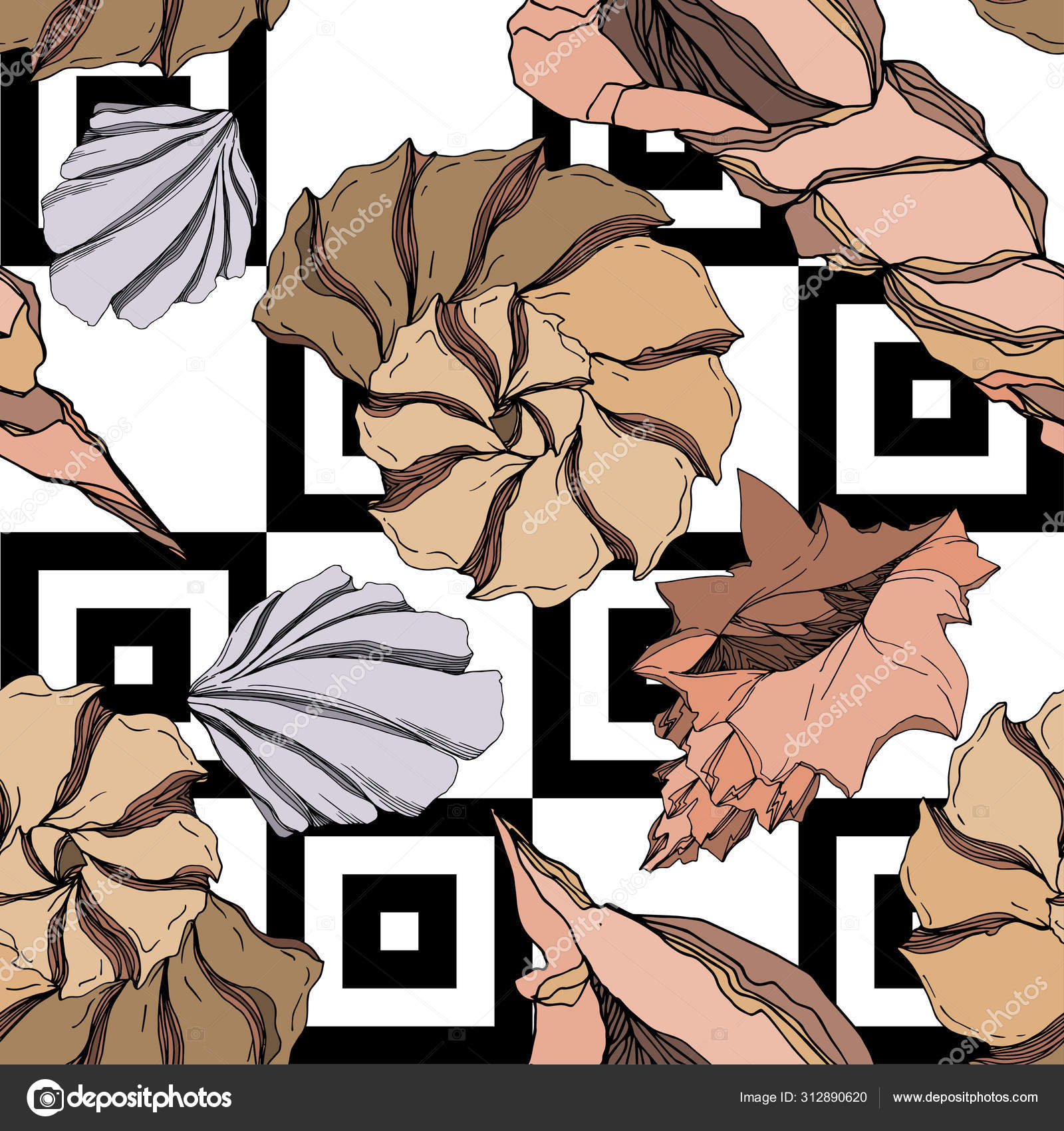 Vector Summer beach seashell tropical elements. Black and white — Stock ...