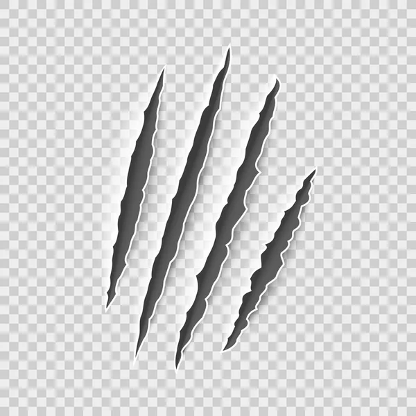 ᐈ Bear claw mark stock cliparts, Royalty Free bear claw marks vectors ...