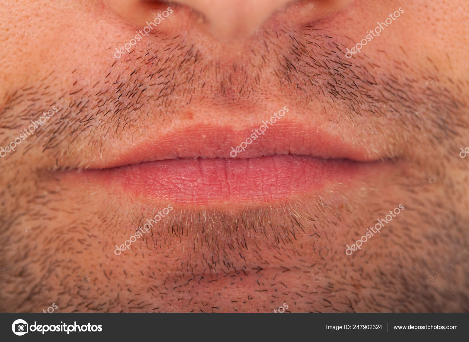 Bristle and mouth macro Stock Photo by ©ocskaymark 247902324