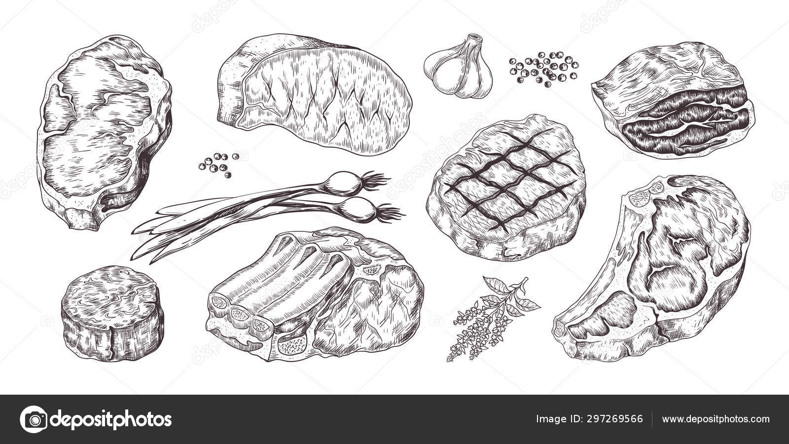 Steak. Vintage sketch with beef and pork chops ribs and fillet ...