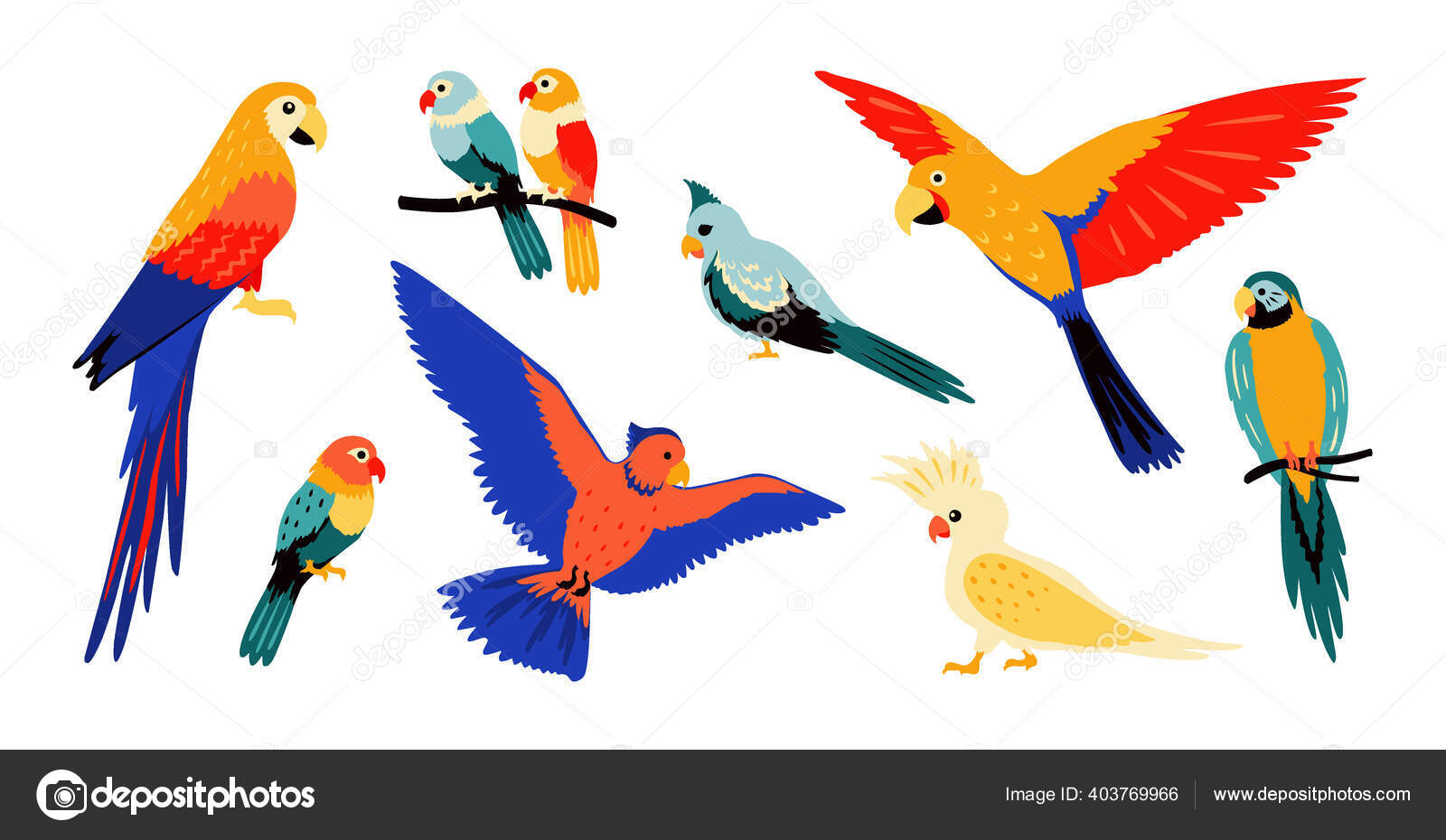Loro De Dibujos Animados Volando Dibujos Animados Loro Volando Png De
