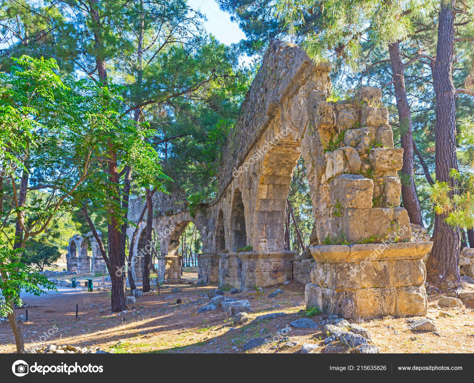Ancient Ruins In Forest