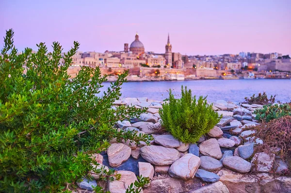 Valletta a través de los arbustos verdes, Tigne Point, Sliema, Malta 2023